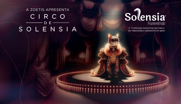 Solensia em Varginha - Sympla