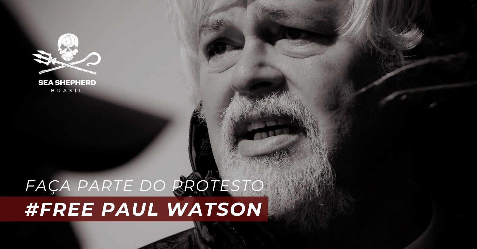 29 JUL #FREE PAUL WATSON - BRASÍLIA DF EM MANIFESTAÇÃO PELO FIM DA ...