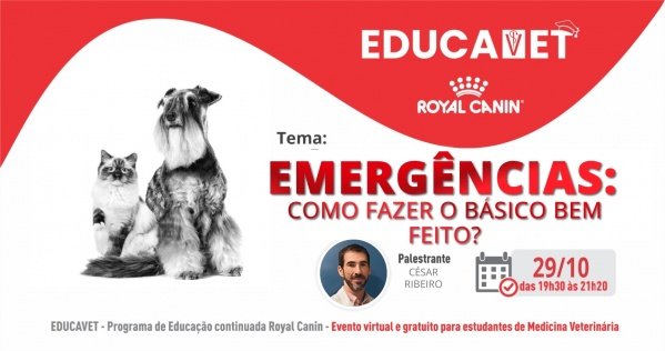 EDUCAVET - EMERGÊNCIAS: COMO FAZER O BÁSICO BEM FEITO? - online - Sympla