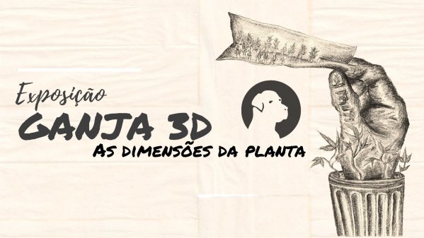 Noite de Abertura Exposição Ganja 3D As Dimensões da Planta em São ...
