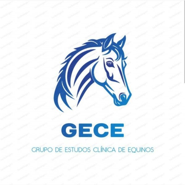 GECE - Produtor - Eventos e Conteúdos na Sympla