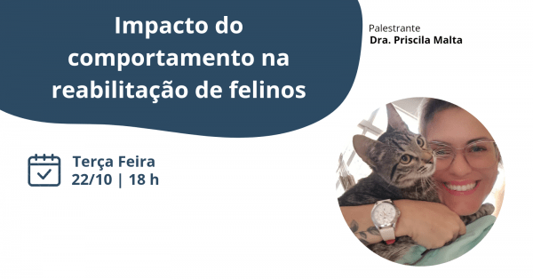 PALESTRA GECOA | Impacto do comportamento na reabilitação de felinos ...