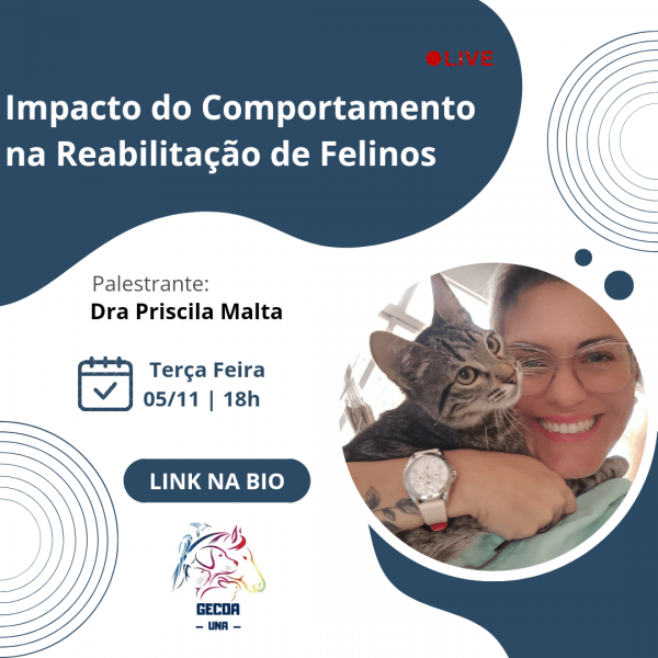 PALESTRA GECOA | Impacto do comportamento na reabilitação de felinos ...
