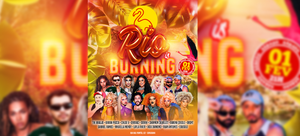 Pink Flamingo: Rio is Burning |Sábado , 01 de Fevereiro em Rio de ...