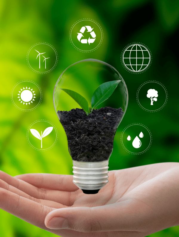 RESÍDUOS SÓLIDOS: CLASSIFICAÇÃO NBR 10004:2024, ELABORAÇÃO DE FDSR E ...