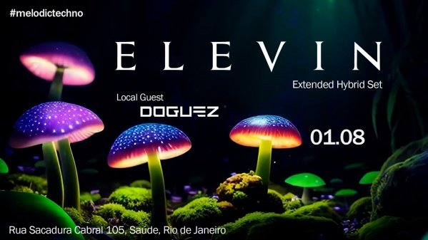 ELEVIN | Extended Melodic Techno Hybrid Set em Rio de Janeiro - Sympla