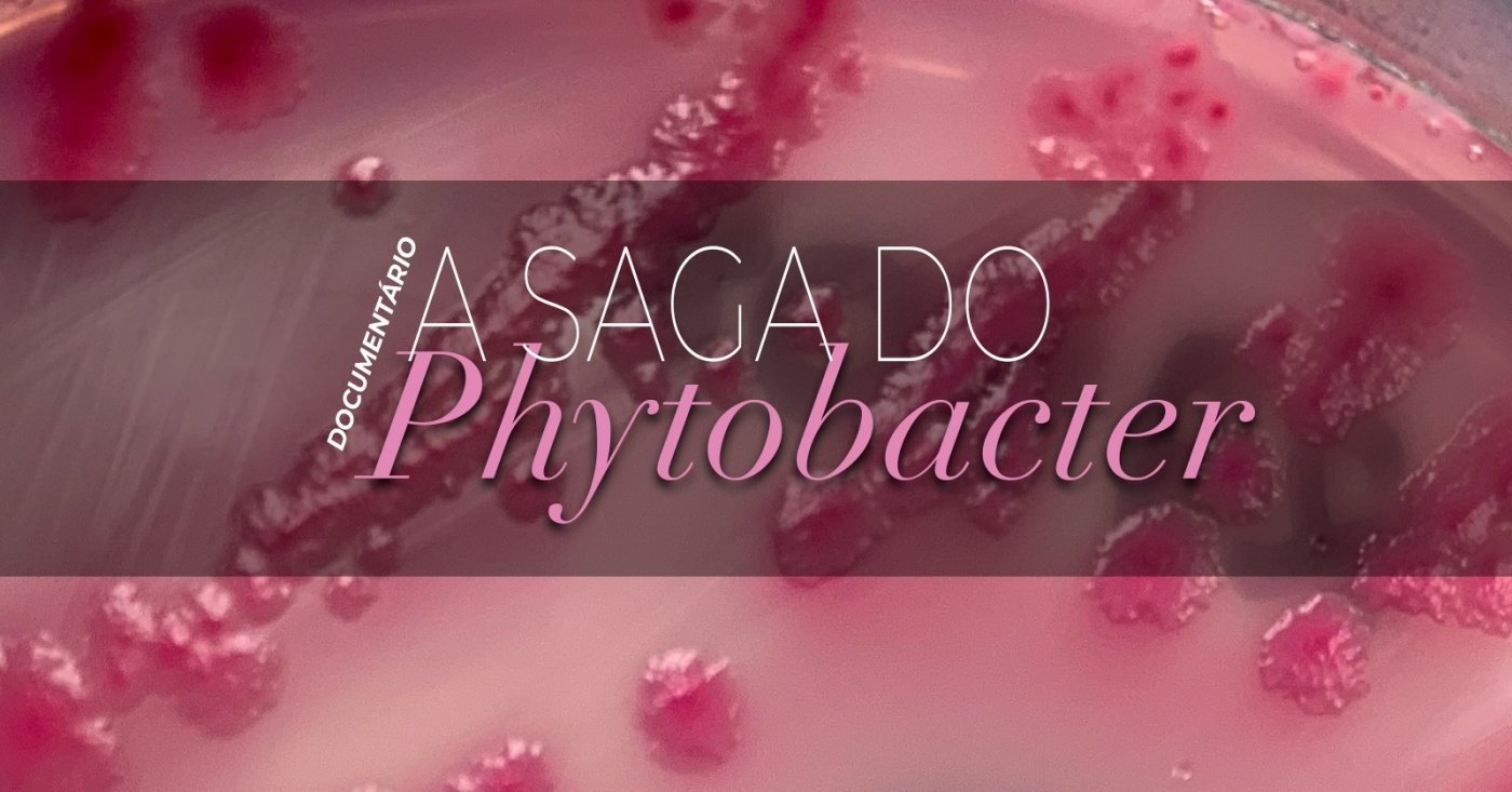 Premiere do Documentário - A Saga do Phytobacter em Curitiba - Sympla