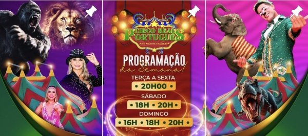 Circo real português em Brasília - Sympla